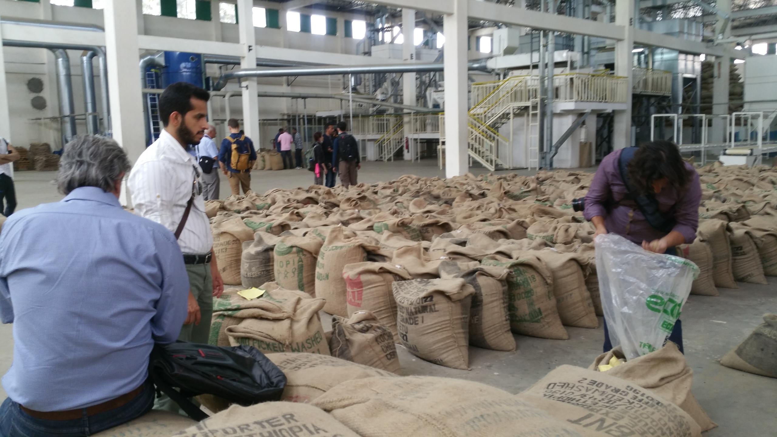 Natural Keffa Forest - wubeshepherd.com